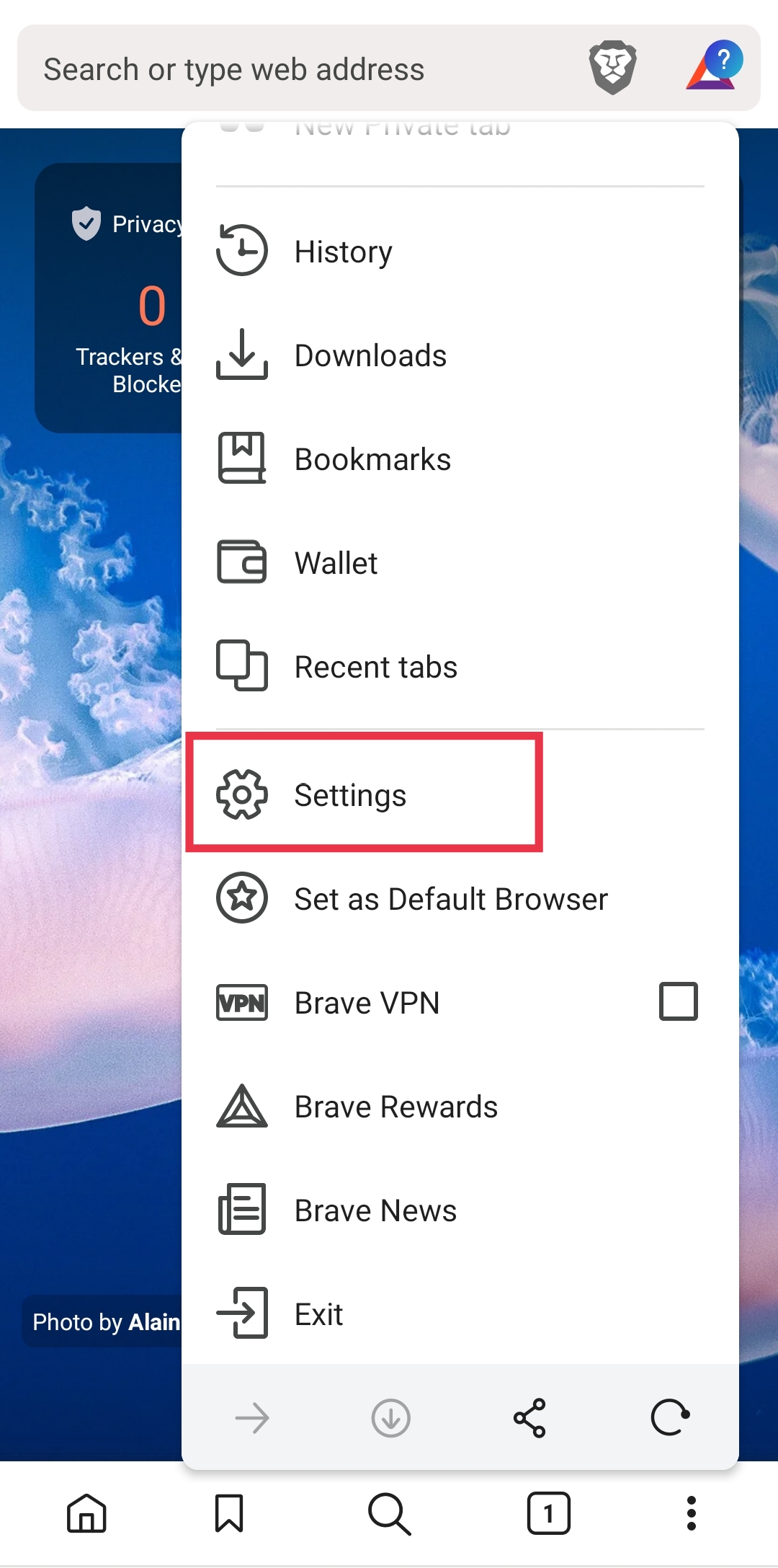 How to enable cookies in Brave for Android? - Video Hosting Platform ...